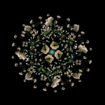 Lisa Creagh Biography | Crane Kalman Brighton