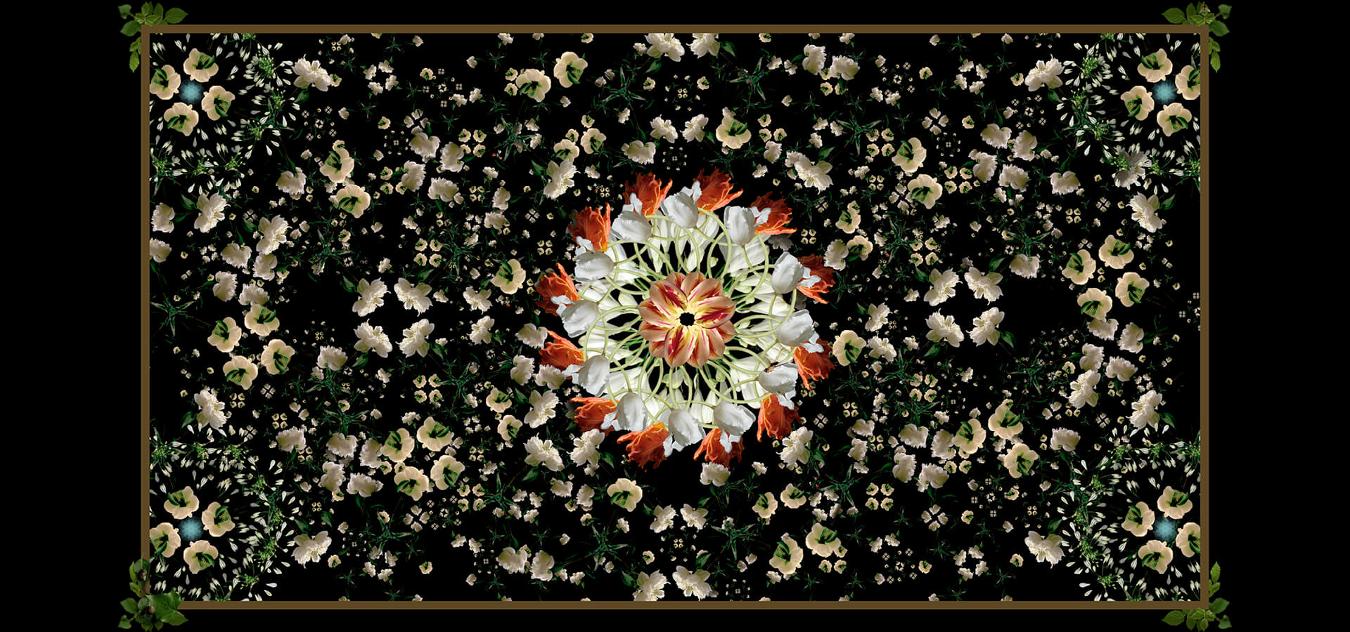 Crane Kalman Brighton – Photography gallery