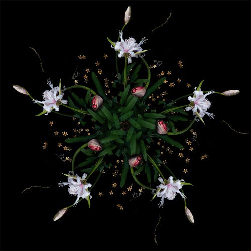 Lisa Creagh Biography – Crane Kalman Brighton