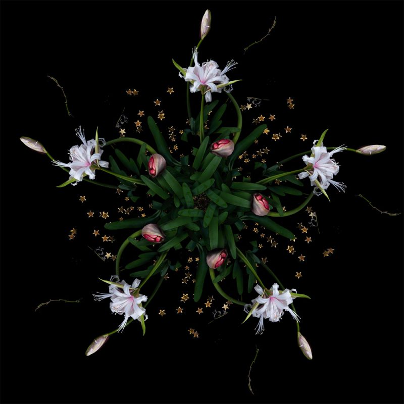 Lisa Creagh Biography – Crane Kalman Brighton