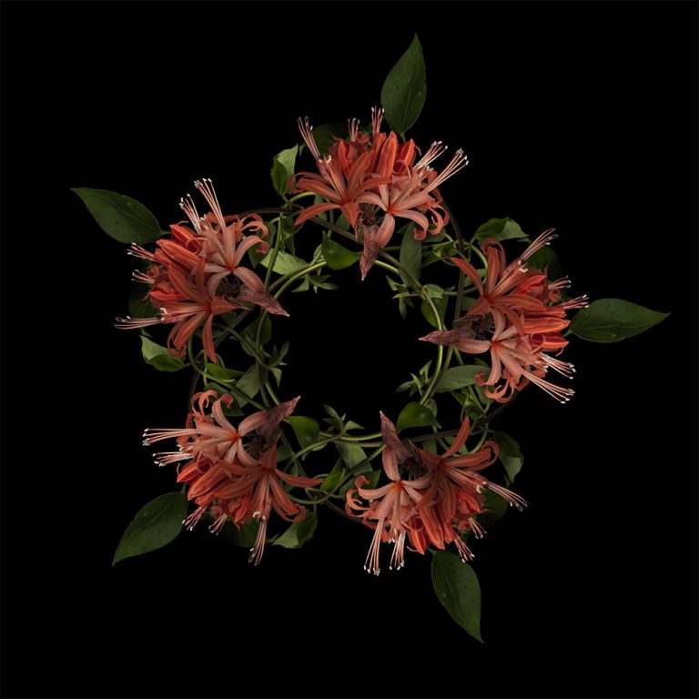 Lisa Creagh Biography – Crane Kalman Brighton