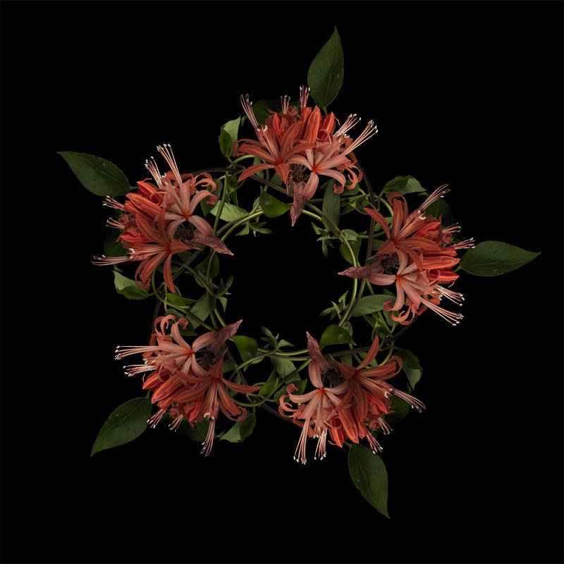 Lisa Creagh Biography – Crane Kalman Brighton