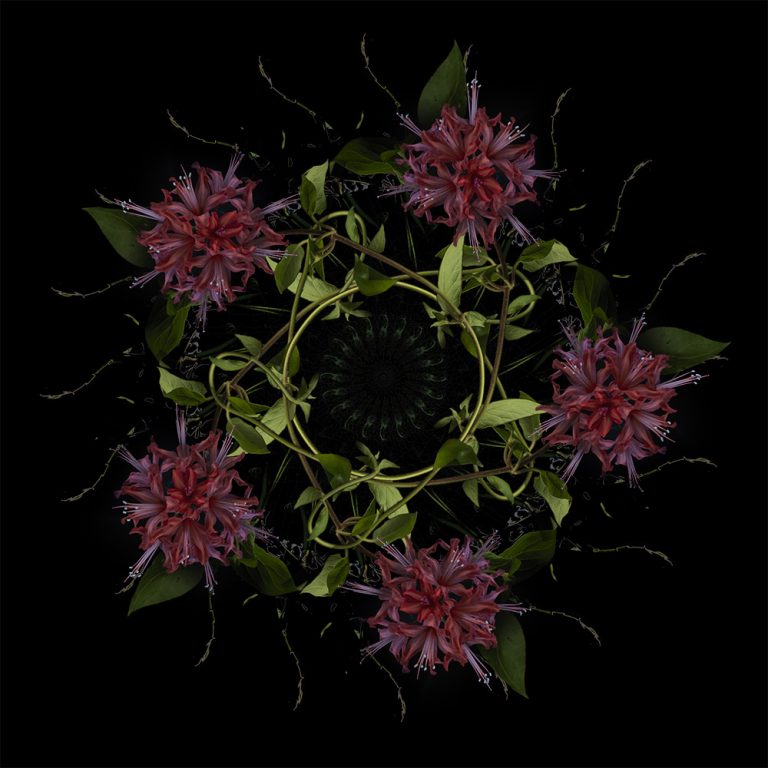 Lisa Creagh Biography – Crane Kalman Brighton