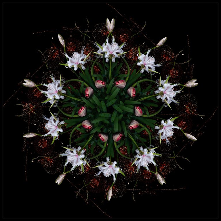 Lisa Creagh Biography – Crane Kalman Brighton